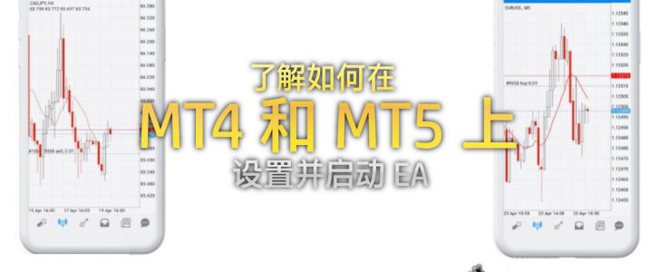 如何在 MT4/MT5 上设置并启动 EA (交易机器人)？ – zh.Hercules.Finance
